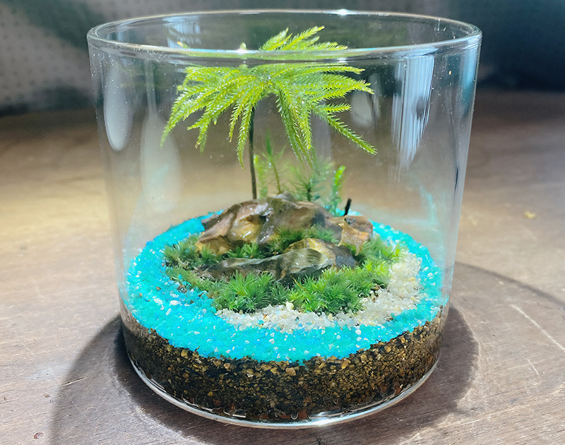 苔テラリウムワークショップ – KRAM